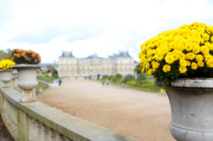 A Photo Essay: Paris, France - Part 1 - Wander The Map