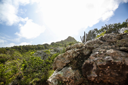 Hiking Mount Christoffel in Curacao - Wander The Map