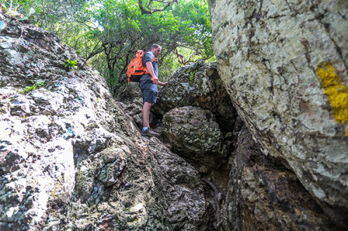 Hiking Mount Christoffel in Curacao - Wander The Map