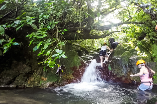 Puerto Rico Adventure: Waterfall Rappelling, River Hiking and Zip ...