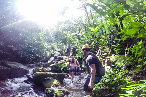 Puerto Rico Adventure: Waterfall Rappelling, River Hiking and Zip ...