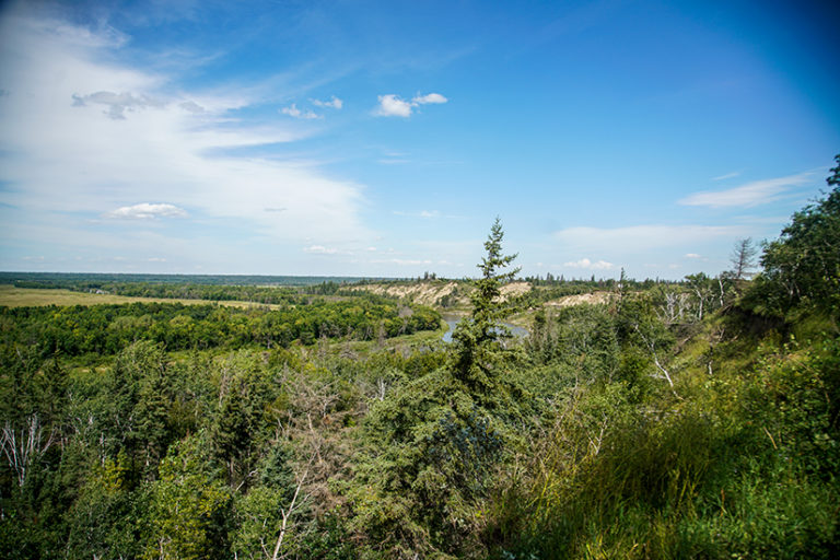 Camping in a Yurt at Spruce Woods Provincial Park - Wander The Map