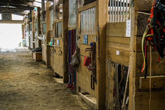 Horseback Riding in the Finger Lakes - Wander The Map