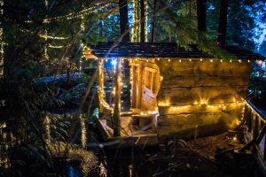 Holidays in Vancouver: Canyon Lights at Capilano Suspension Bridge Park ...