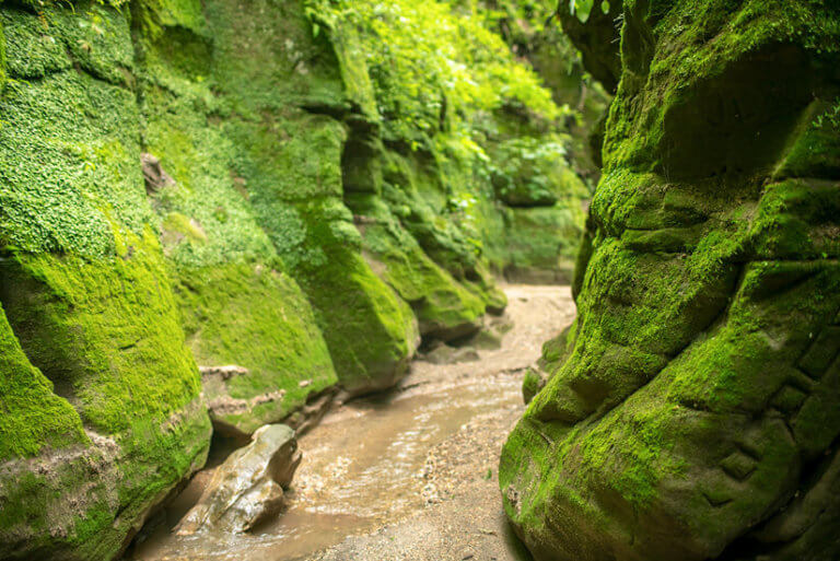 Adventures in Mankato: Biking, Kayaking, Wildlife, and More! - Wander ...