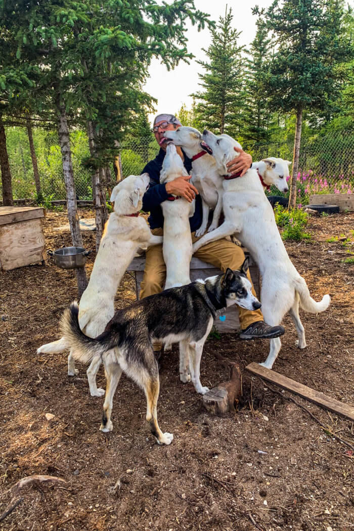 Summer Dog Carting in Churchill, Manitoba - Wander The Map